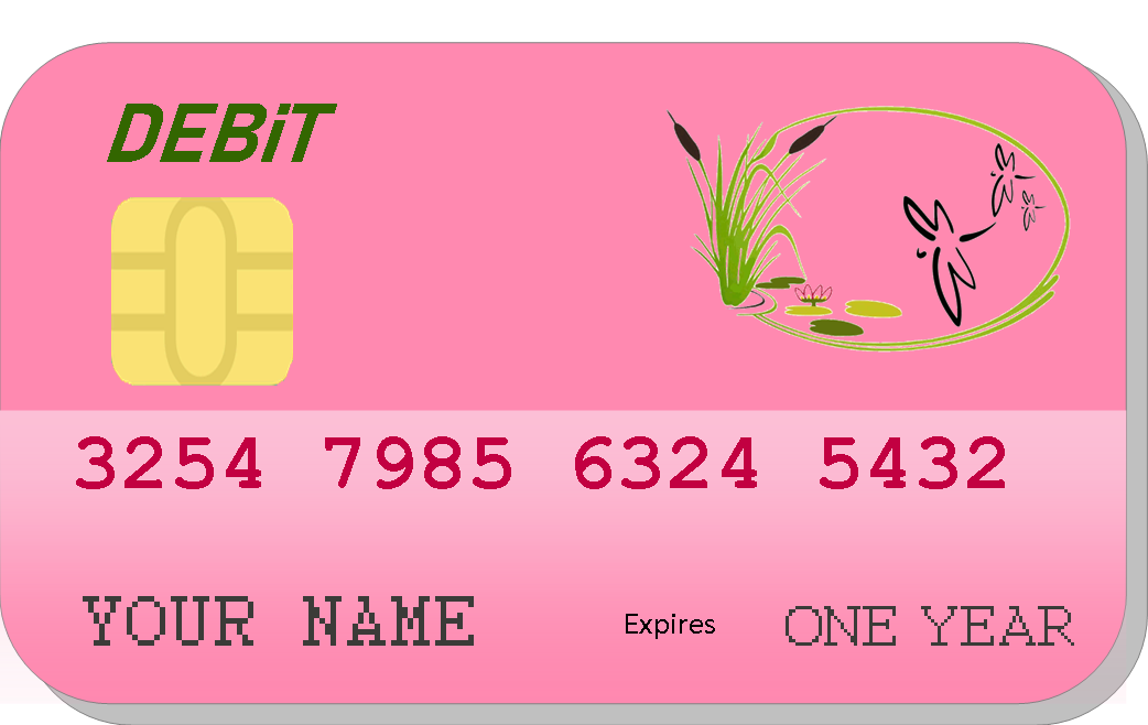 Pricing & Payment - Dragonfly Meadows Virtual Solutions